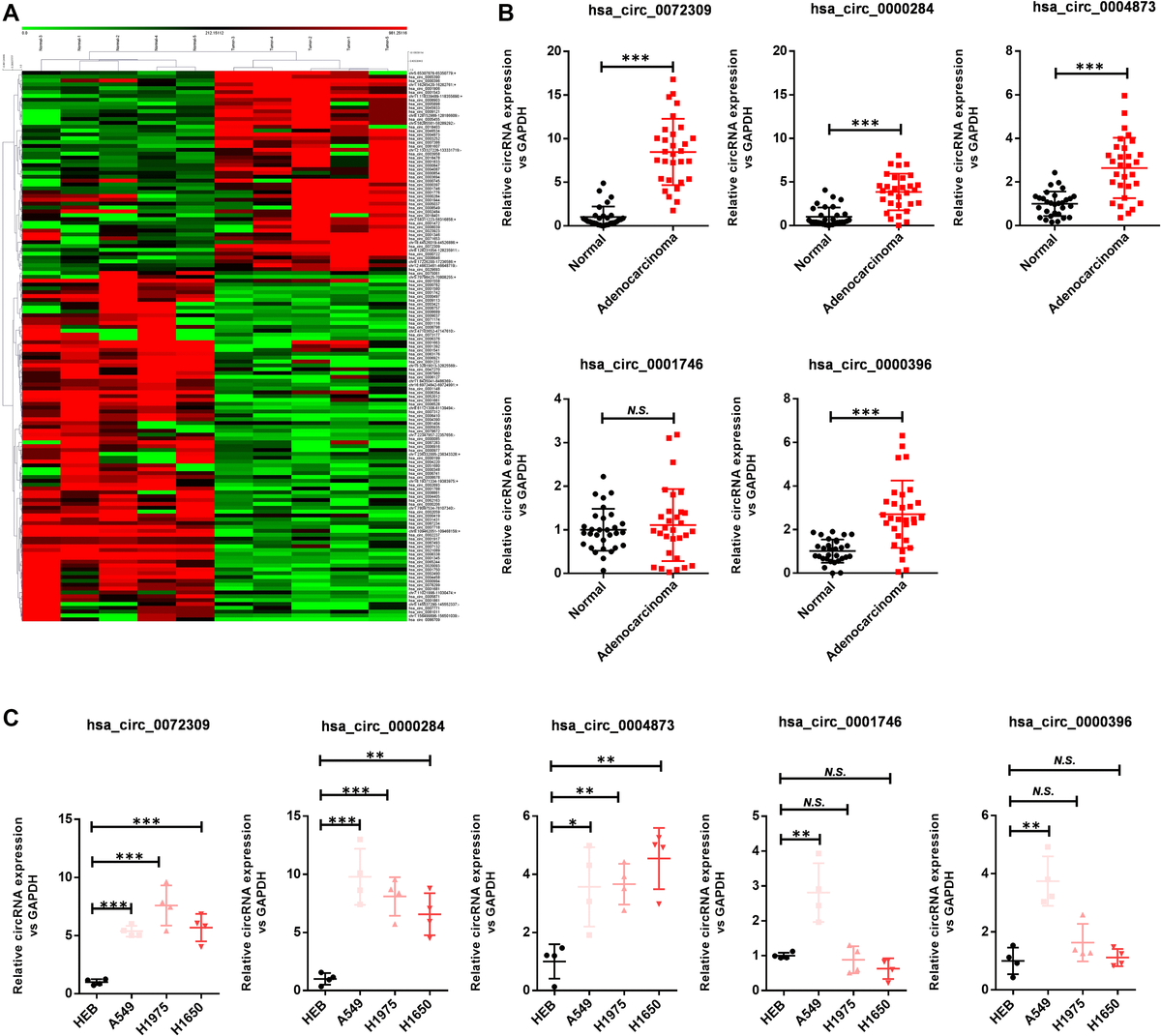 Circular RNA hsa_circ_0072309 promotes tumorigenesis and invasion by ...