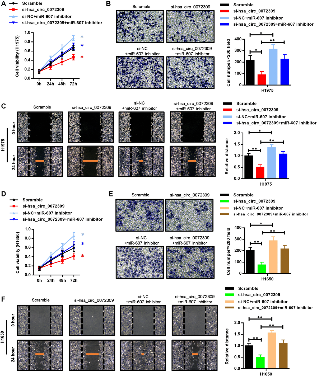Circular RNA hsa_circ_0072309 promotes tumorigenesis and invasion by ...