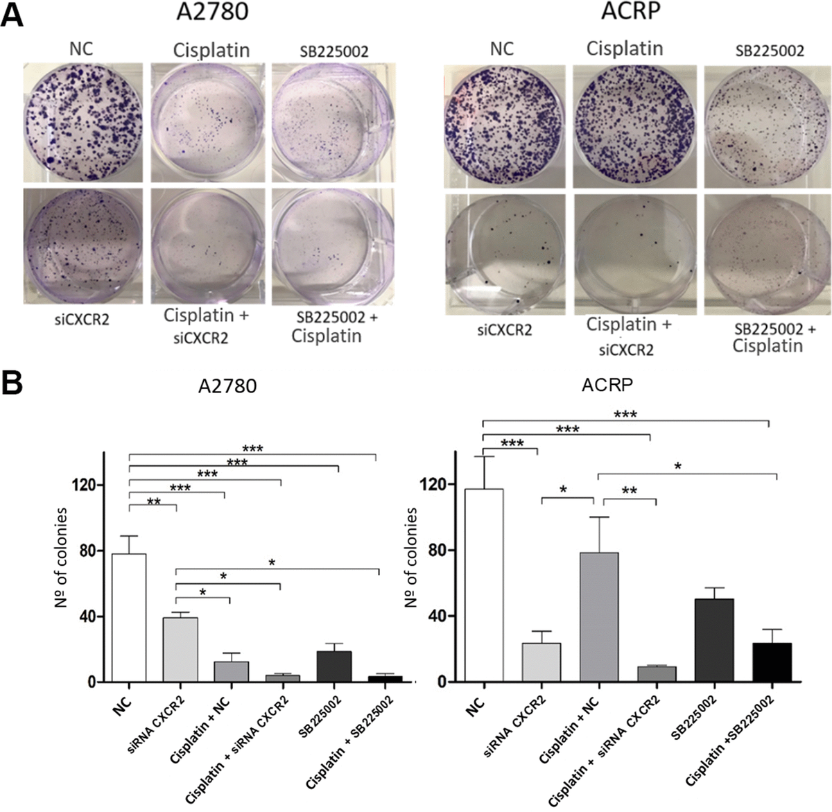 Inhibition of CXCR2 plays a pivotal role in re-sensitizing ovarian ...