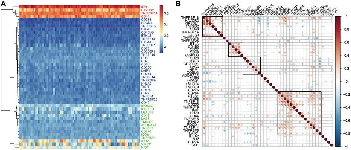 Identification Of An Immune Checkpoint Gene Signature That Accurately