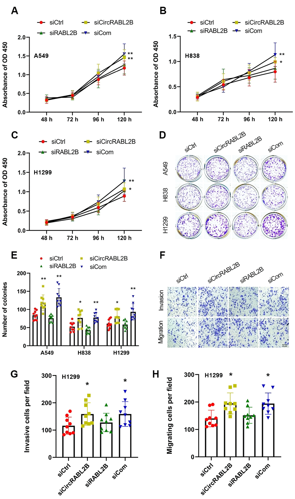 The circular RNA circRABL2B promotes non-small cell lung cancer ...