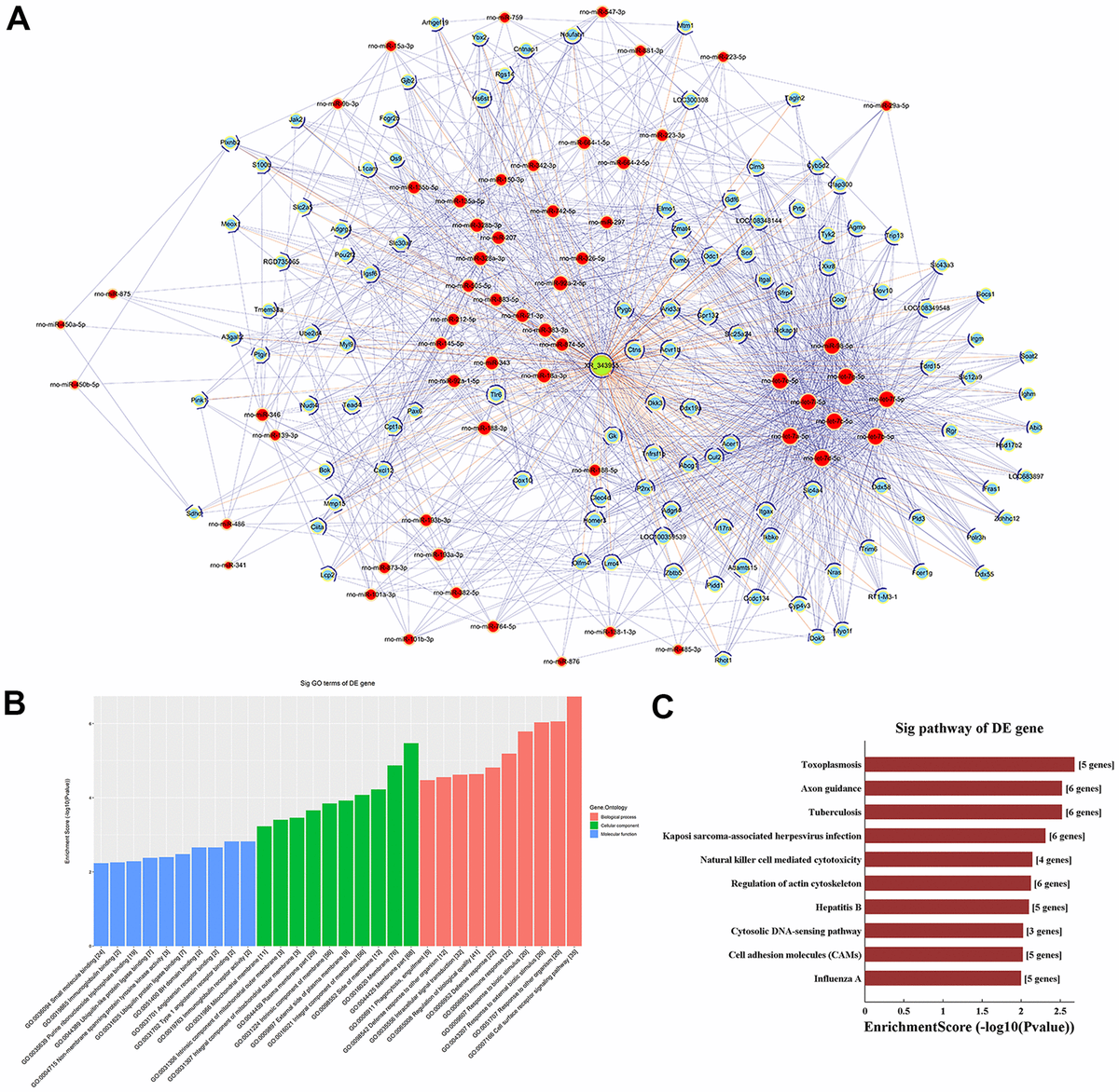 Genome-wide identification of altered RNA m6A profiles in vascular ...
