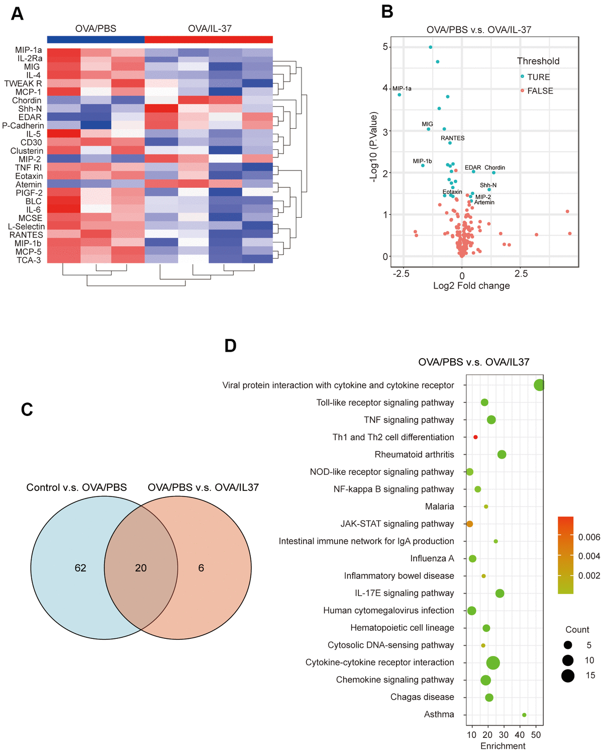 Cytokine antibody array-based analysis of IL-37 treatment effects in ...