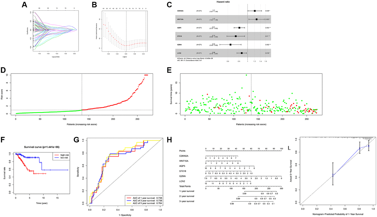 Aldh2 Promotes Uterine Corpus Endometrial Carcinoma Proliferation And