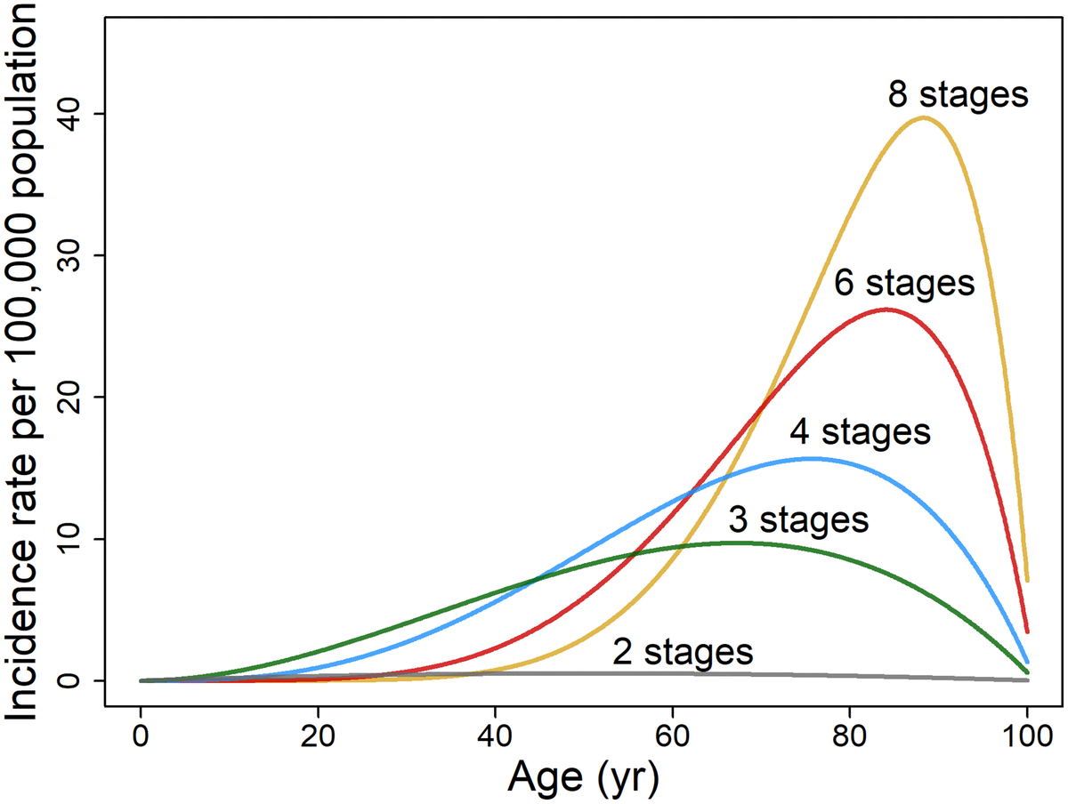 Aging | Profound synchrony of age-specific incidence rates and tumor ...