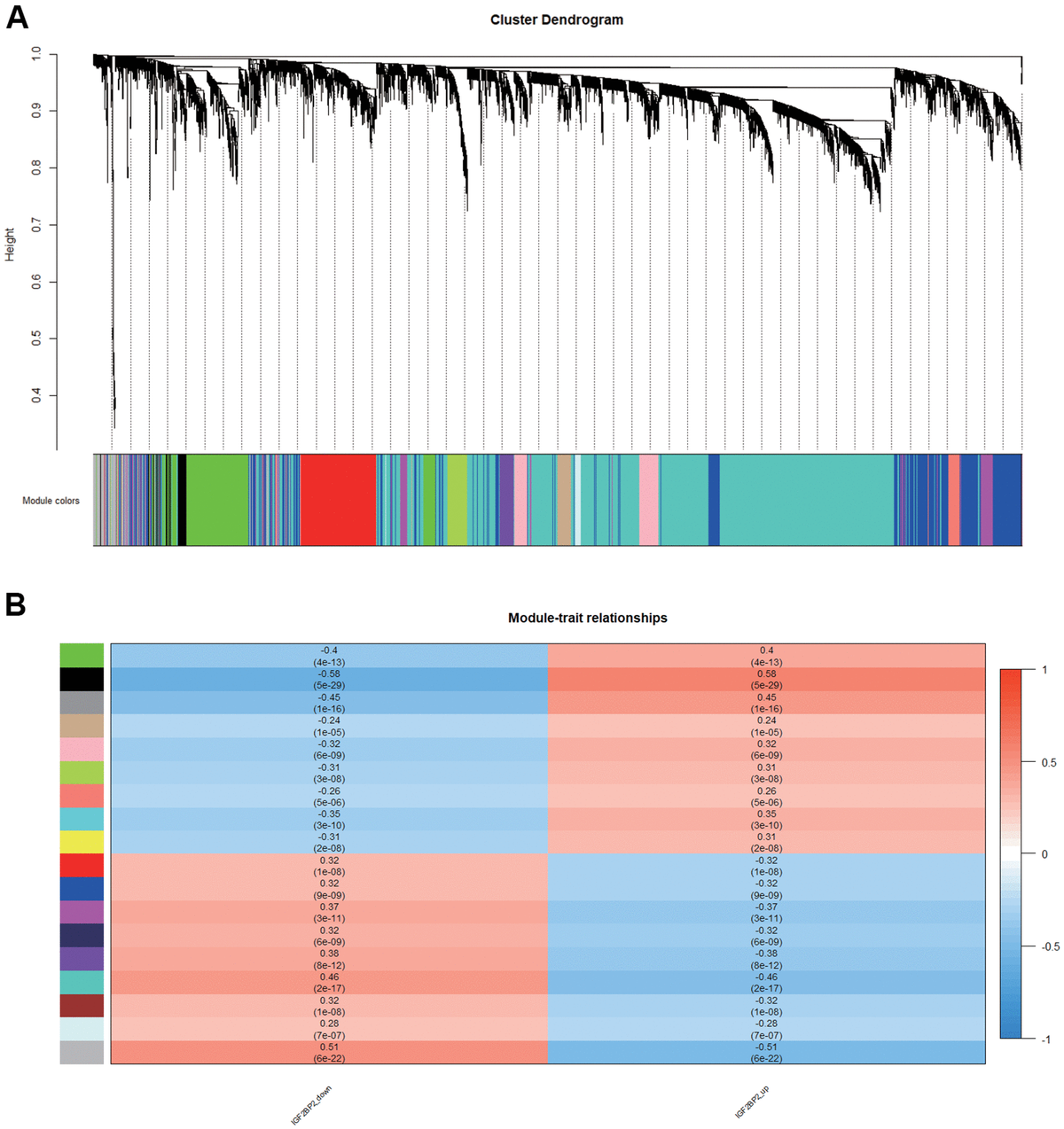 Identification of the function and mechanism of m6A reader IGF2BP2 in ...