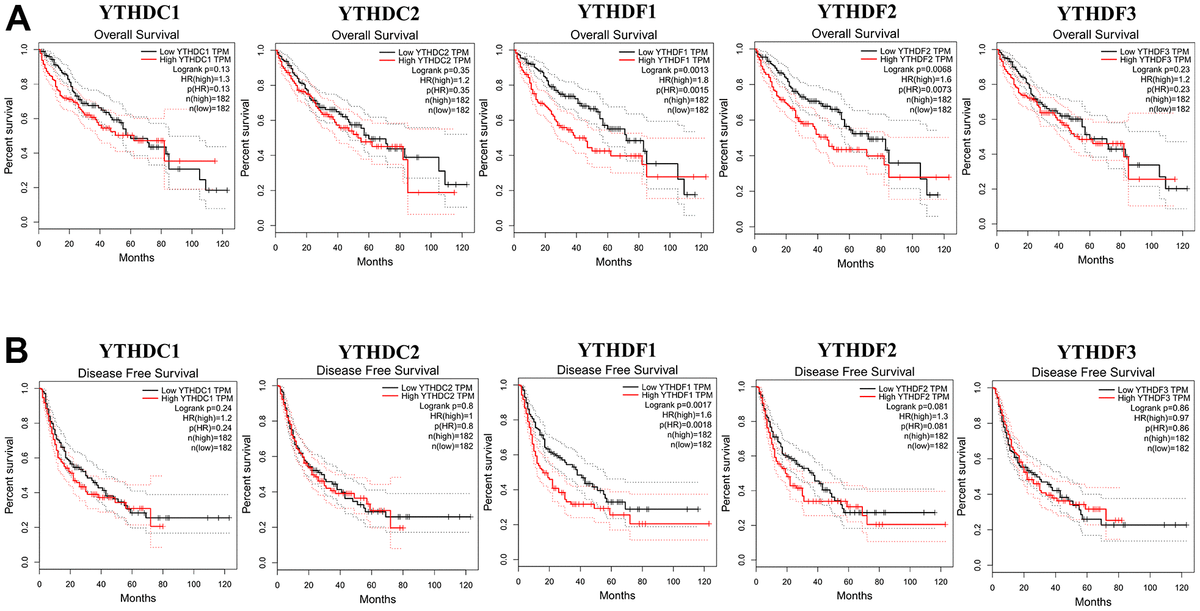 YTH domain family: potential prognostic targets and immune-associated biomarkers in ...