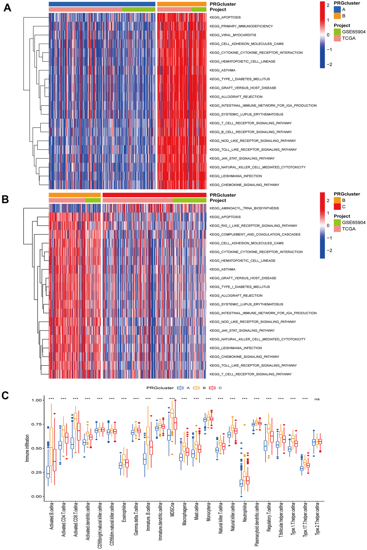 Pyroptosis-related gene mediated modification patterns and immune cell ...
