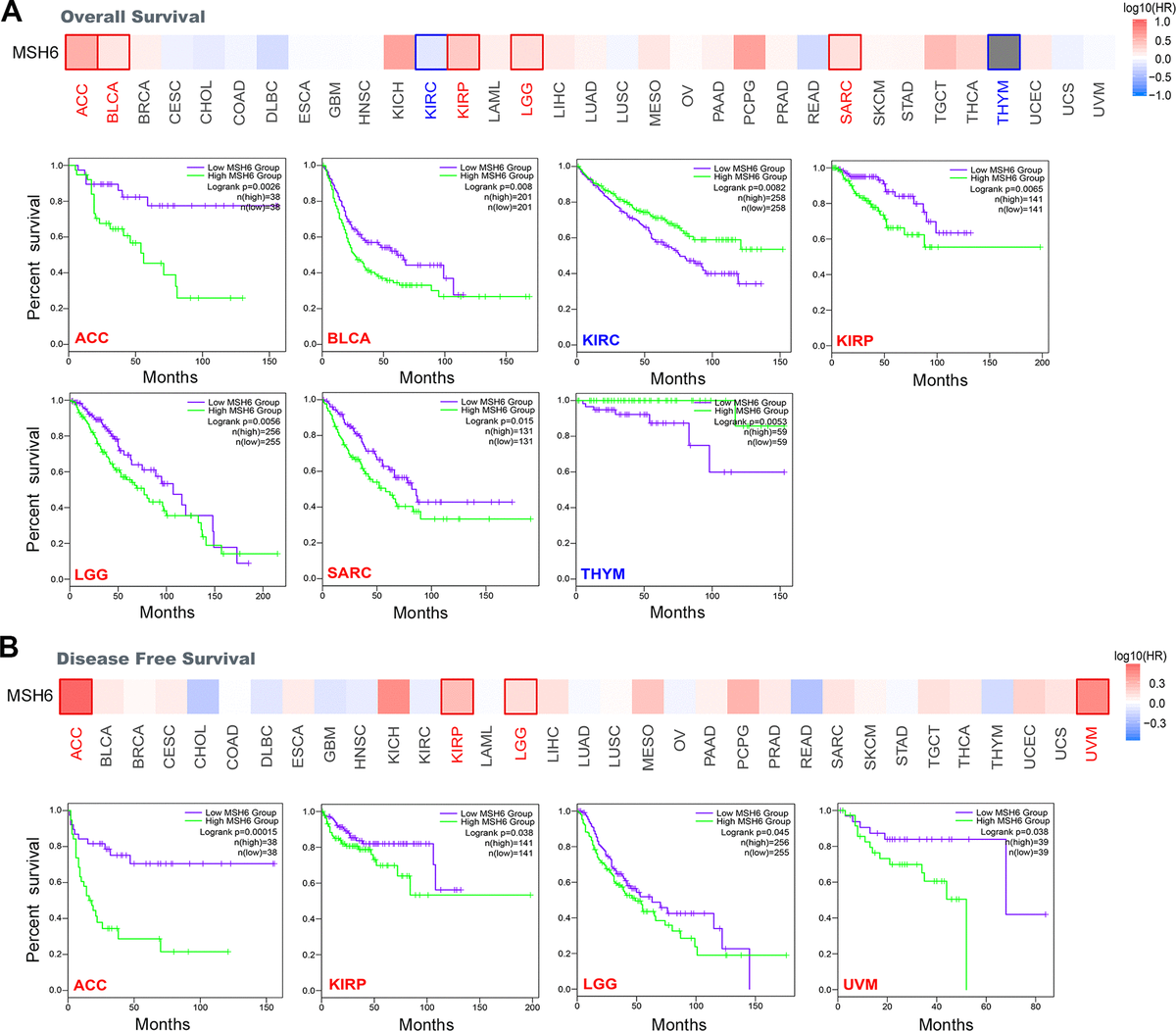 An integrative pan-cancer analysis reveals the oncogenic role of mutS ...