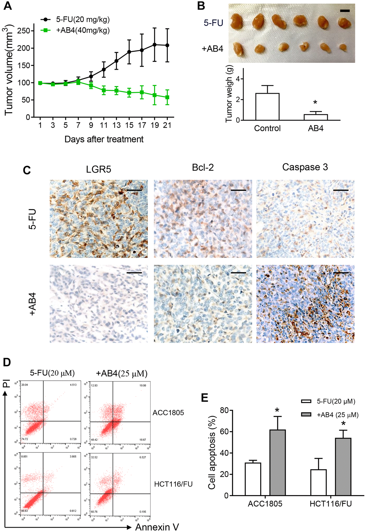 Anemoside B4 sensitizes human colorectal cancer to fluorouracil-based ...