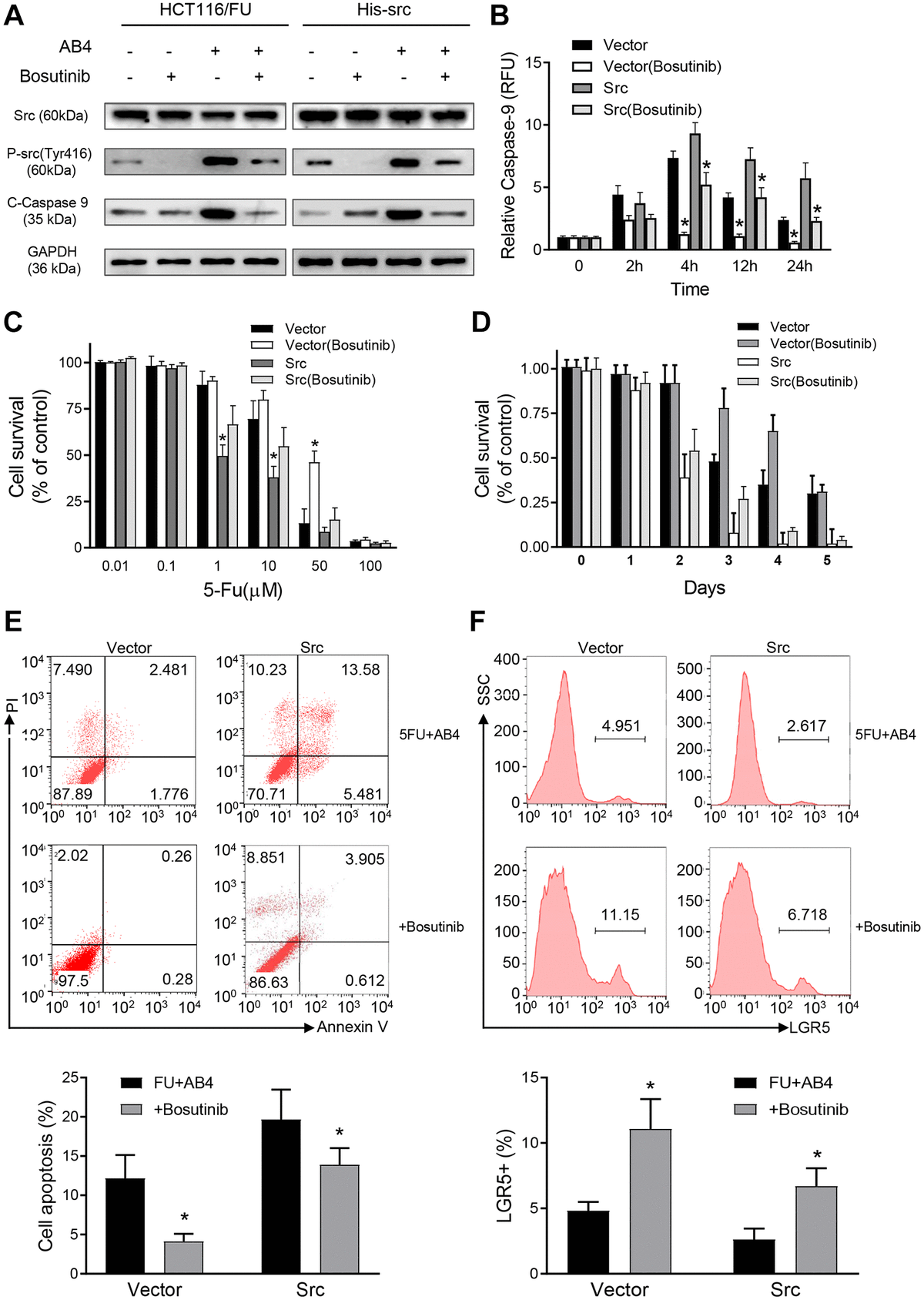 Aging Anemoside B4 Sensitizes Human Colorectal Cancer To Fluorouracil based Chemotherapy 