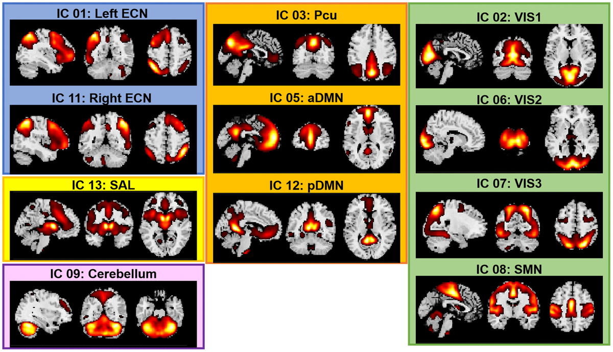 Multivariate patterns of brain-behavior associations across the adult ...