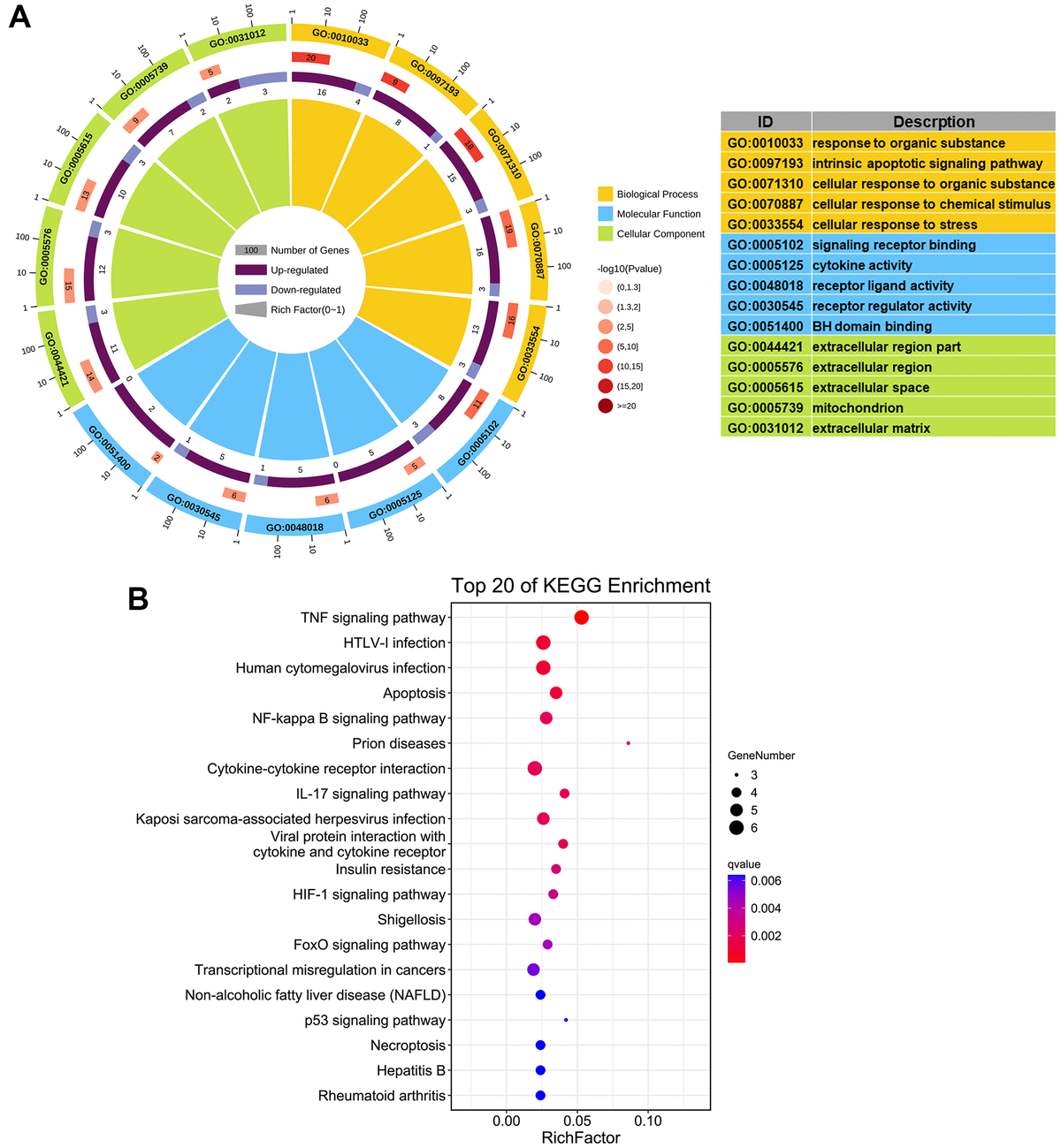 Identification And Validation Of Aging Related Genes In Copd Based On