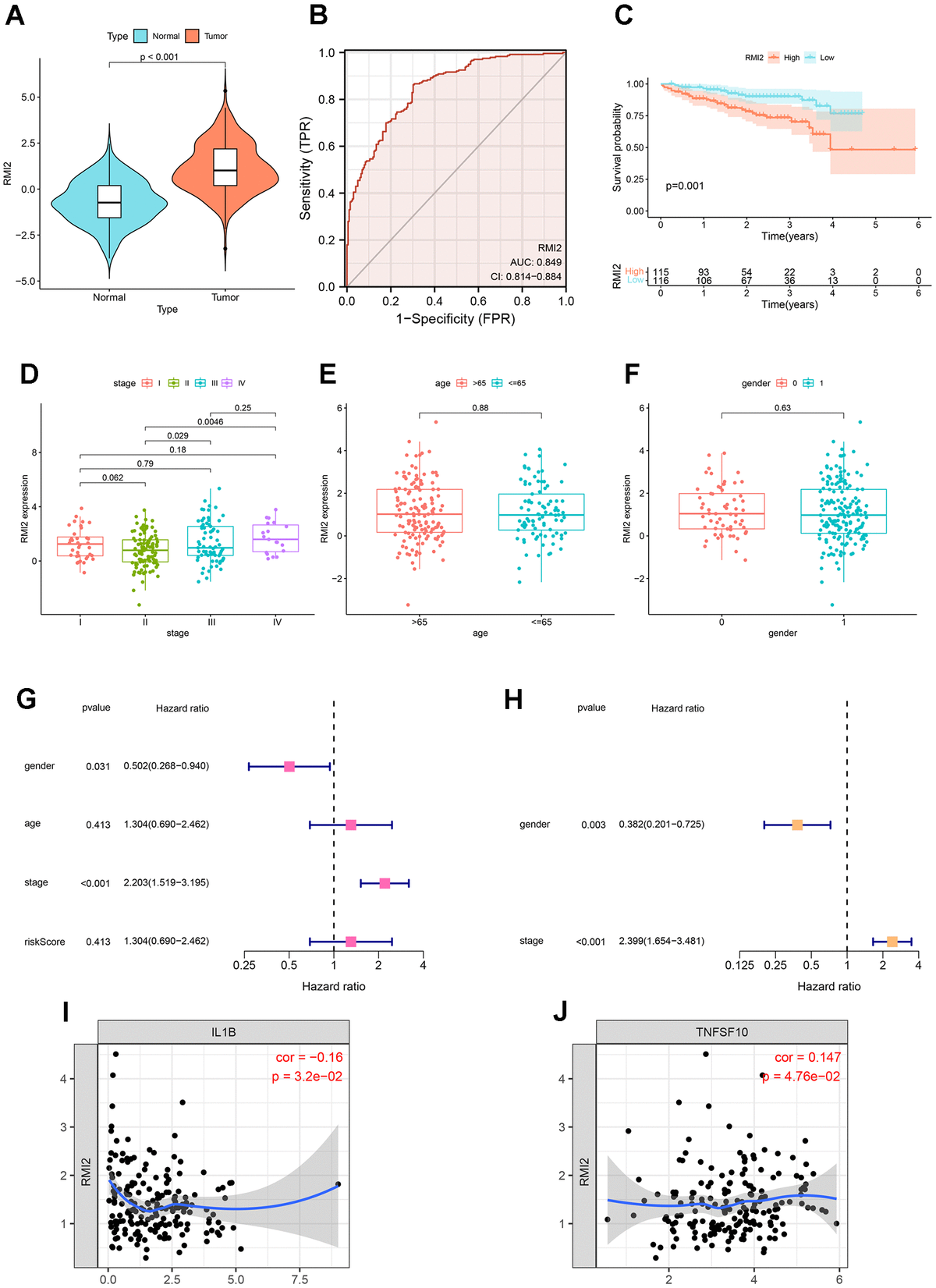 RecQ mediated genome instability 2 (RMI2): a potential prognostic and ...