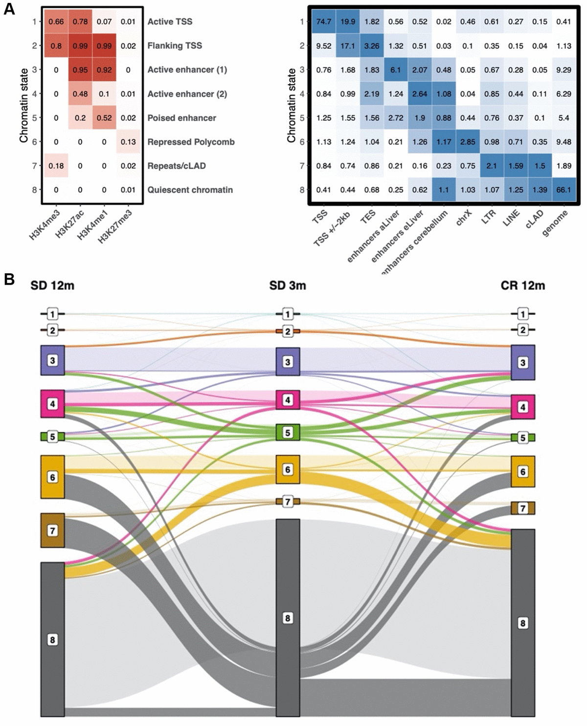 Time makes histone H3 modifications drift in mouse liver - Figure f4 ...