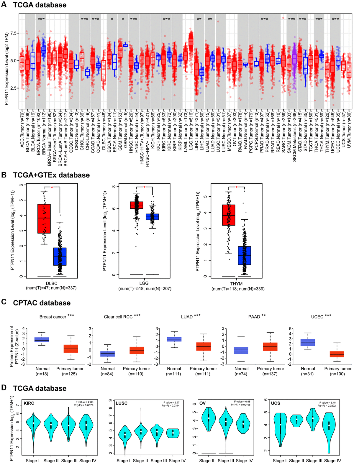A pan-cancer analysis confirms PTPN11’s potential as a prognostic and ...