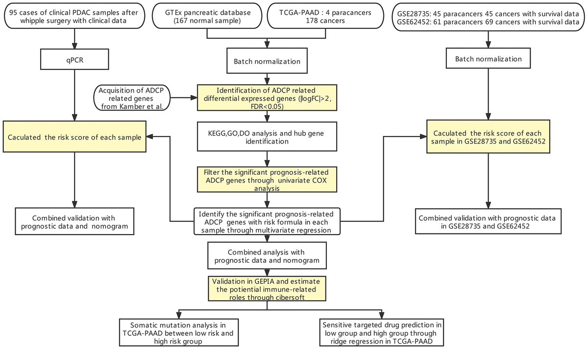 Establishing and validating an ADCP-related prognostic signature in ...