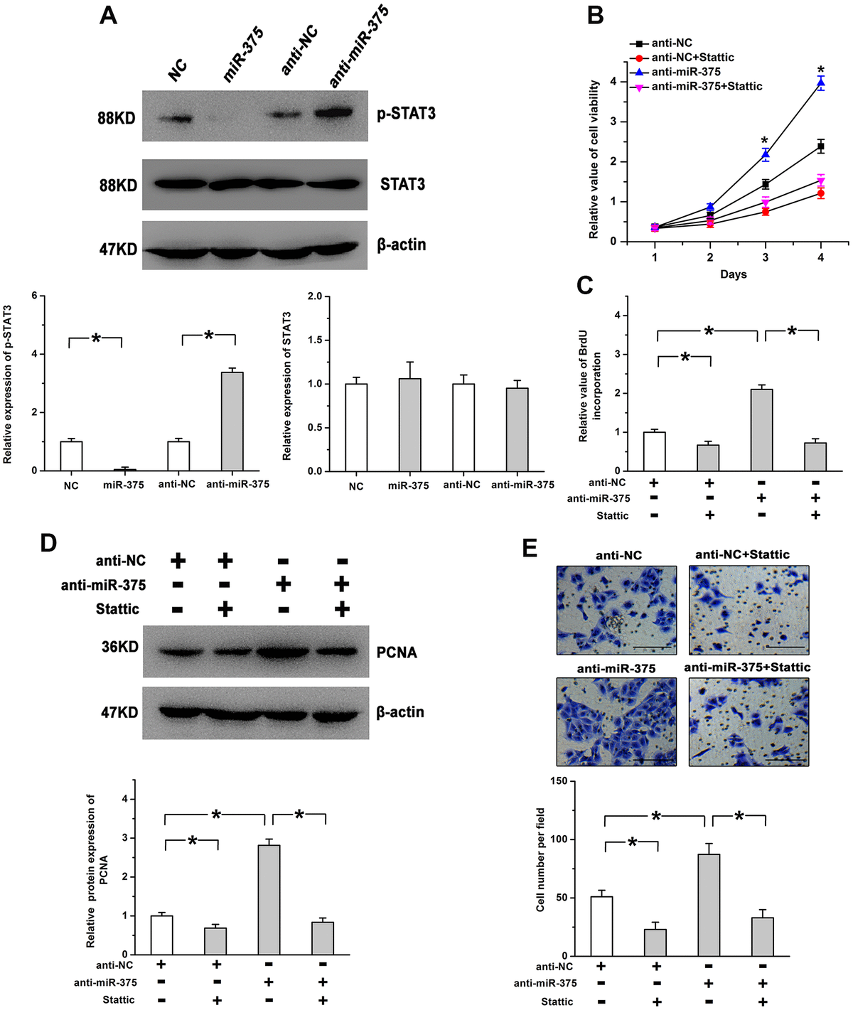 MiR-375 mitigates retinal angiogenesis by depressing the JAK2/STAT3 ...