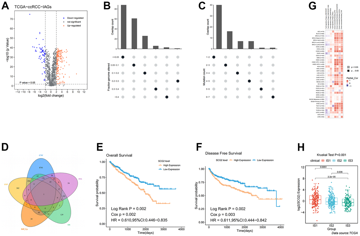 Identification of immune subtypes to guide immunotherapy and targeted ...