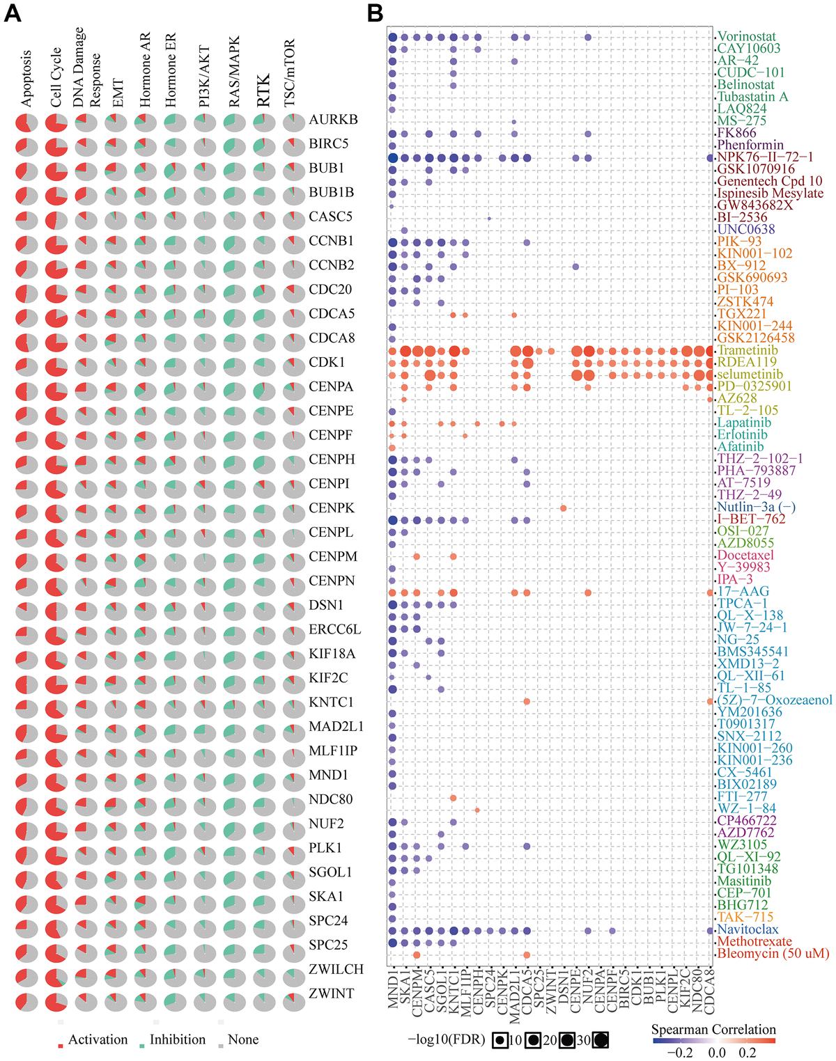 MND1 functions as a potential prognostic biomarker associated with cell cycle and immune ...