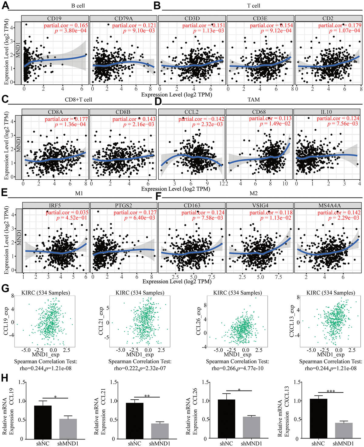 MND1 functions as a potential prognostic biomarker associated with cell cycle and immune ...