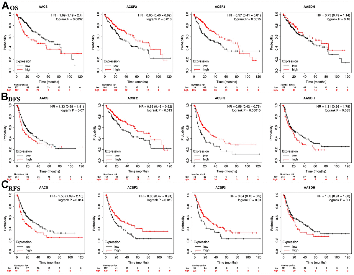 Identification of ACSF gene family as therapeutic targets and immune ...