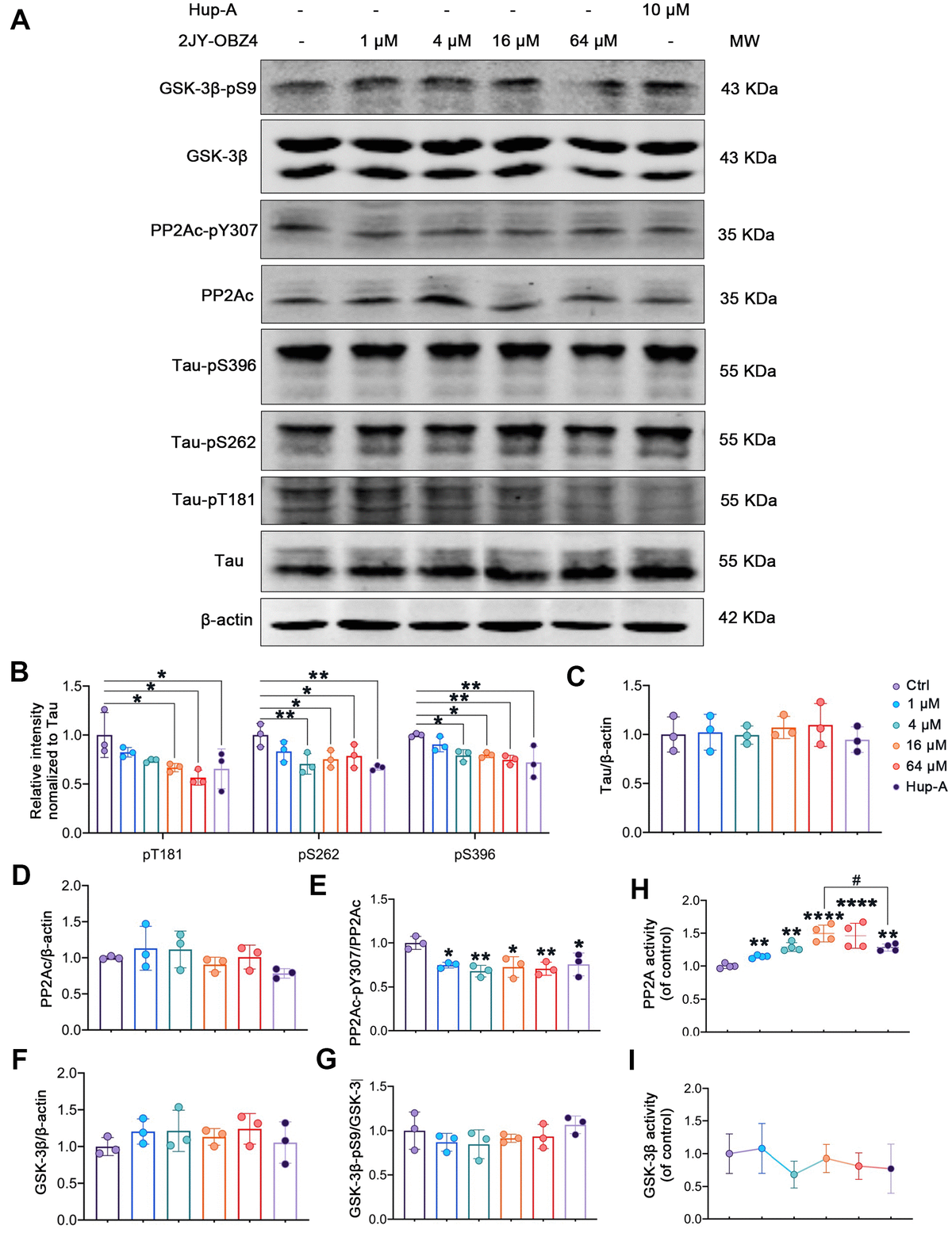 Novel small molecular compound 2JY-OBZ4 alleviates AD pathology in cell ...