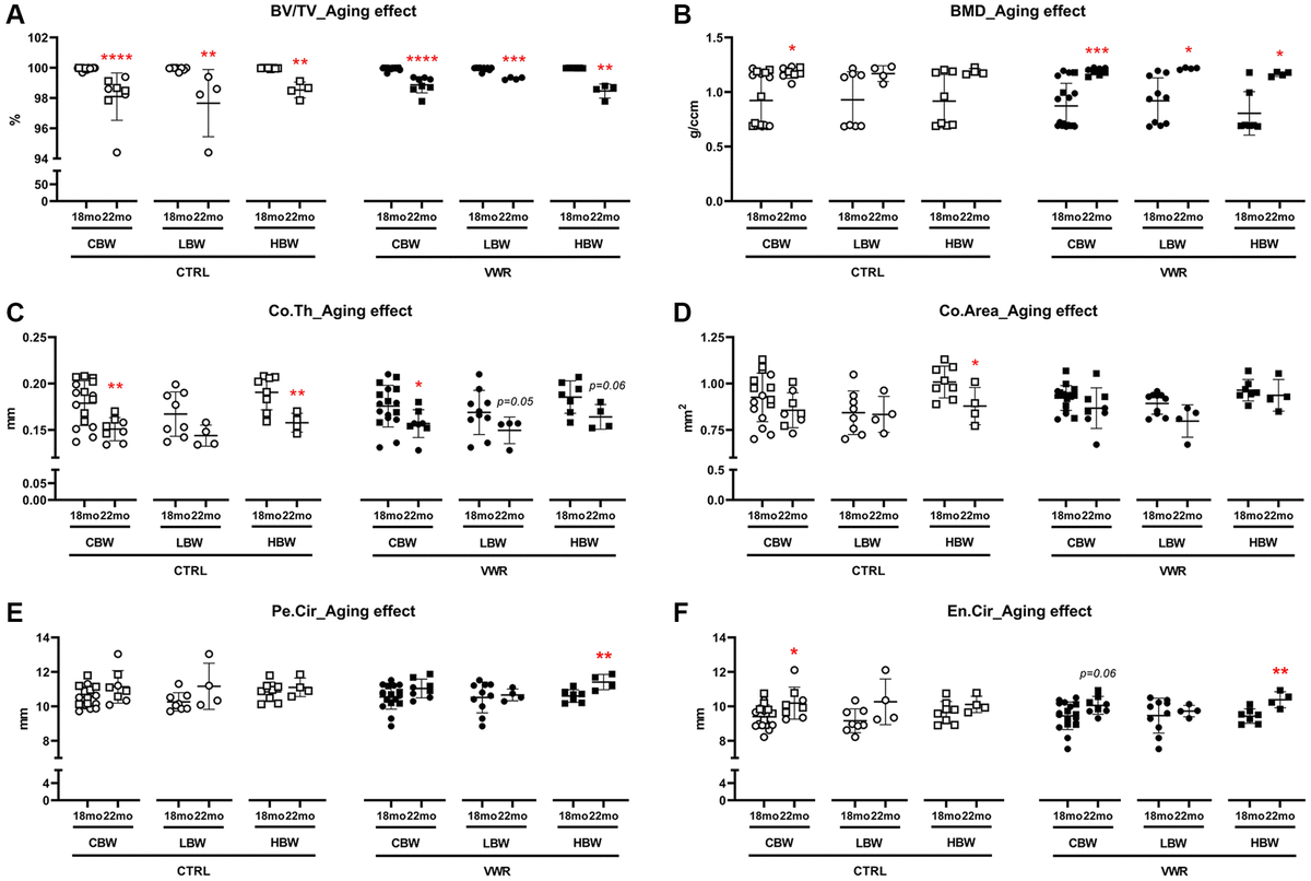Body weight influences musculoskeletal adaptation to long-term ...