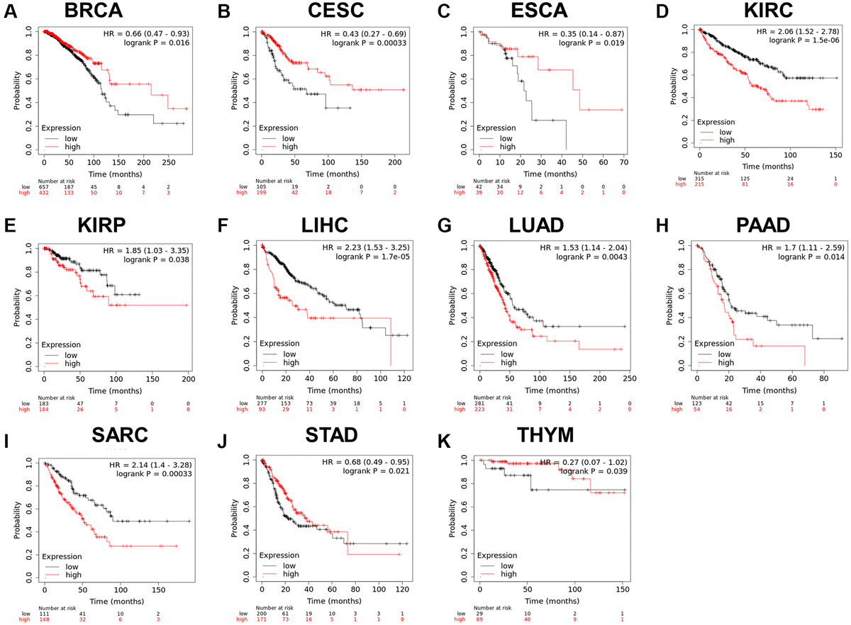 Comprehensive analysis of the expression profile and clinical implications of regulator of ...