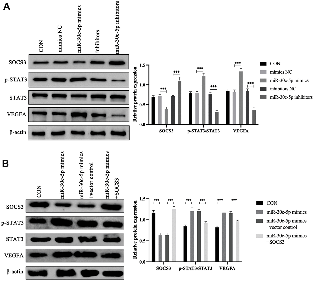 Adipocyte Derived Exosomal Mir 30c 5p Promotes Ovarian Angiogenesis In