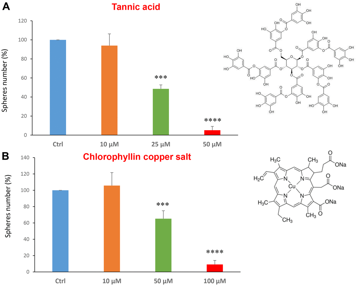 Identification of natural products and FDA-approved drugs for targeting ...