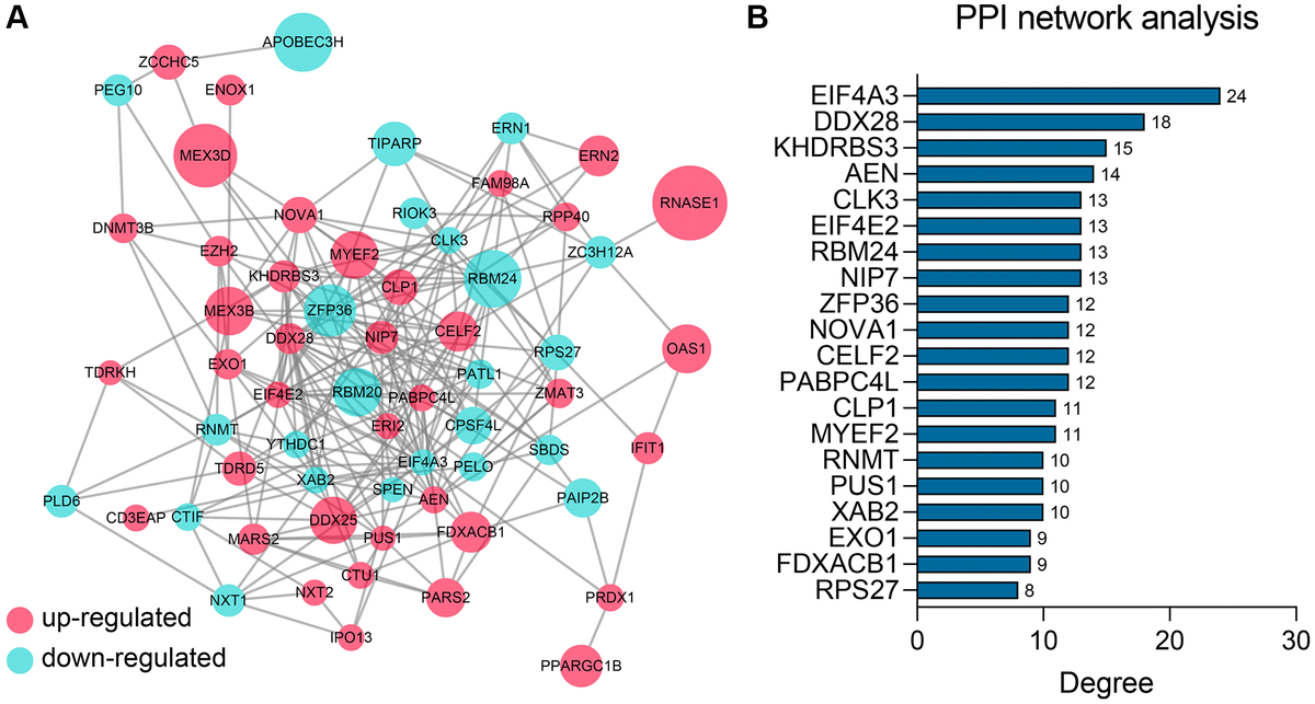 A two-gene random forest model to diagnose osteoarthritis based on RNA ...