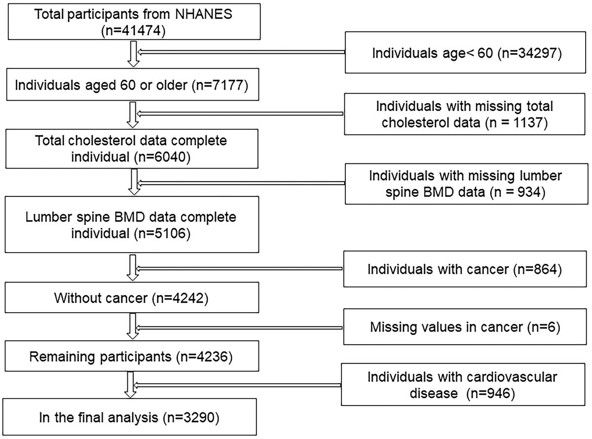 Associations between serum total cholesterol level and bone mineral ...