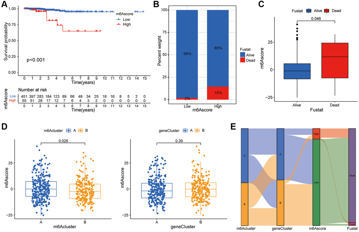 Thyroid cancer risk prediction model using m6A RNA methylation regulators: integrated ...