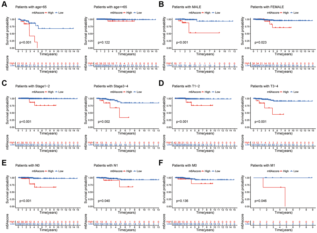 Thyroid cancer risk prediction model using m6A RNA methylation ...