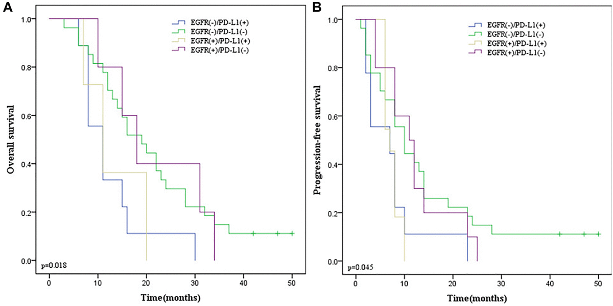 Prognostic significance of epidermal growth factor receptor and programmed cell death-ligand 1 ...