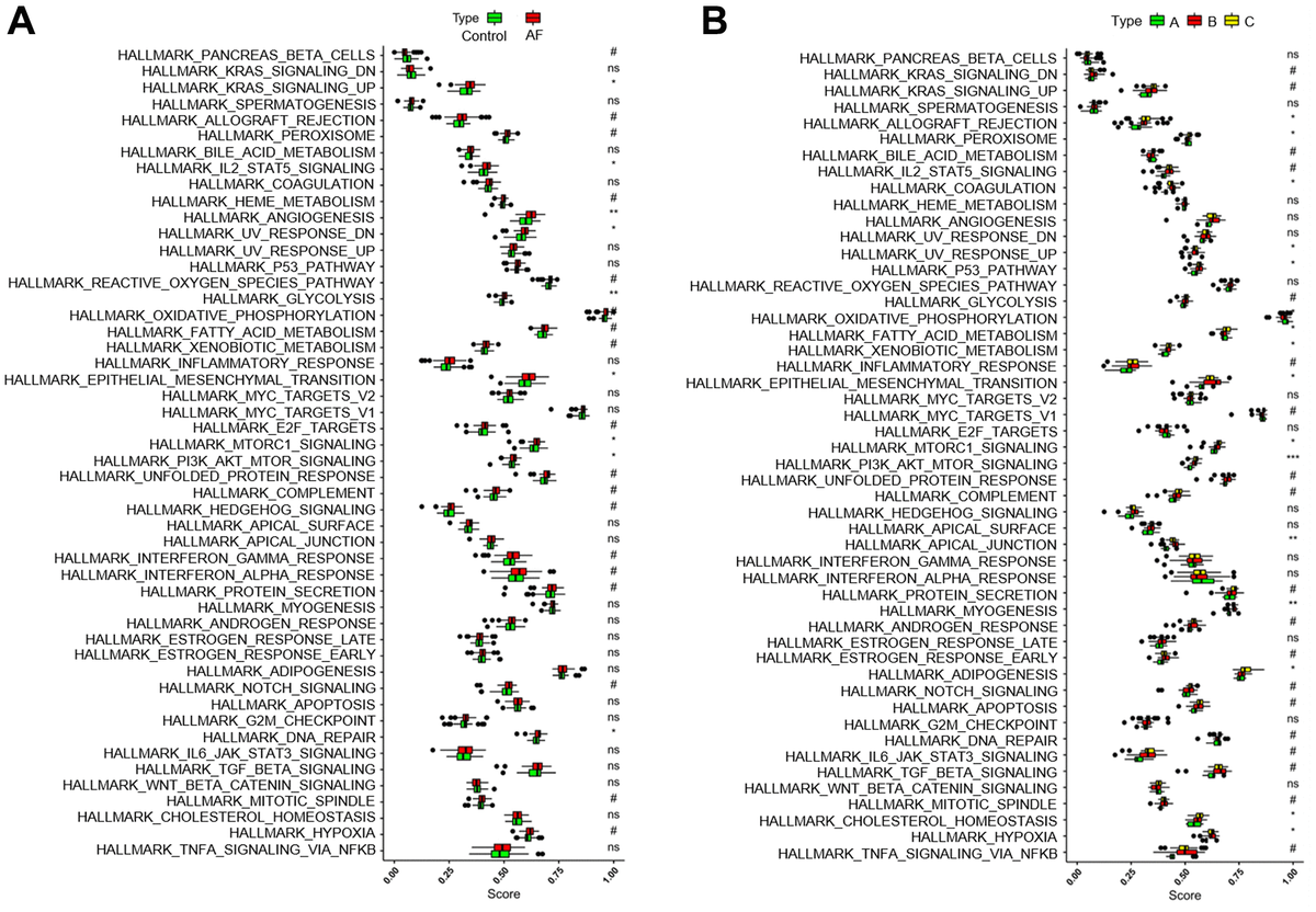 Identification of m6A regulator-mediated RNA methylation modification patterns and key immune ...