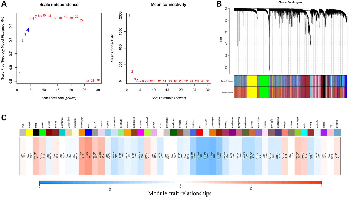 A novel fatty-acid metabolism-based classification for triple negative breast cancer - Figure f1 ...