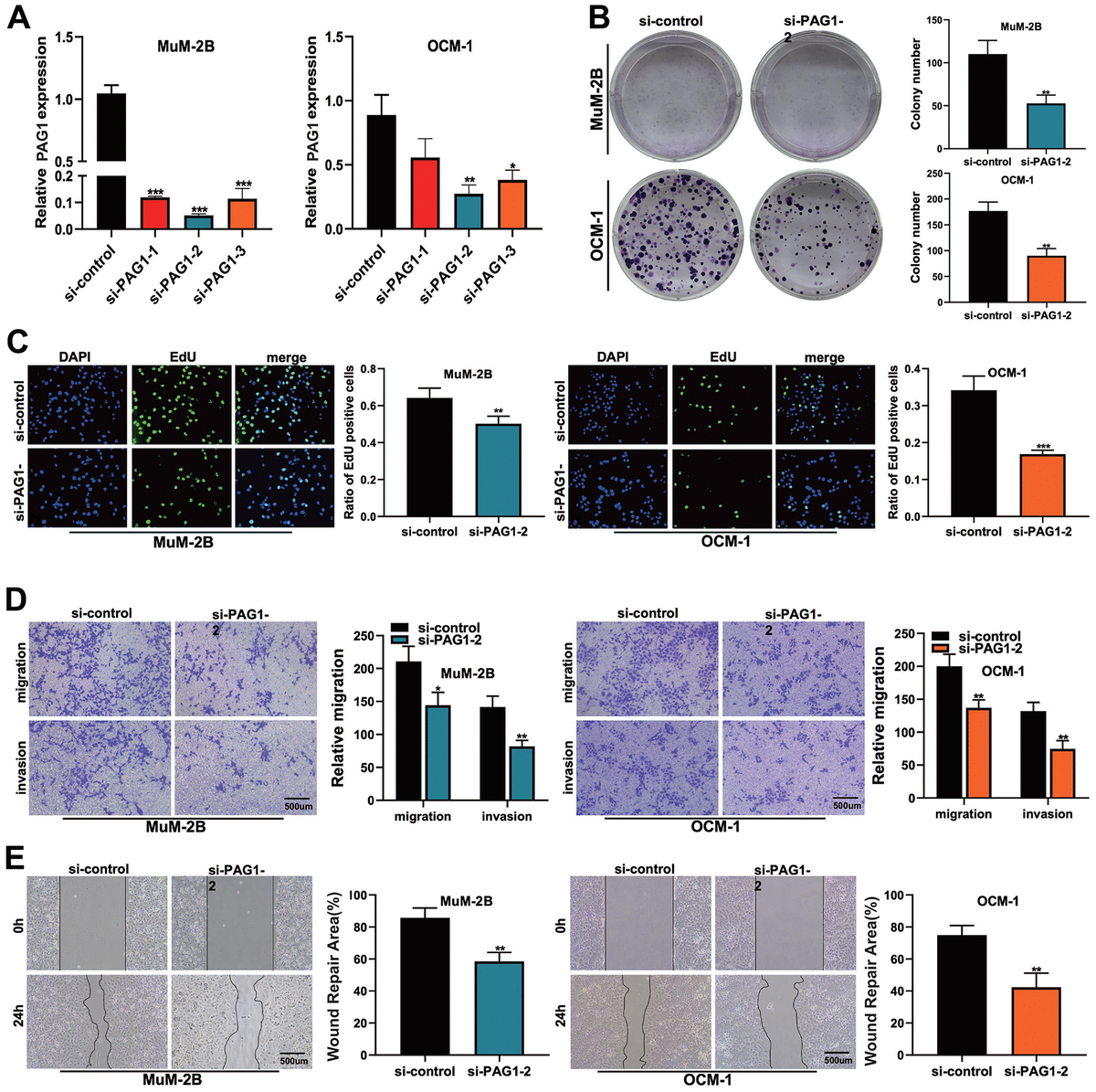 Single cell sequencing analysis constructed the N7-methylguanosine (m7G ...