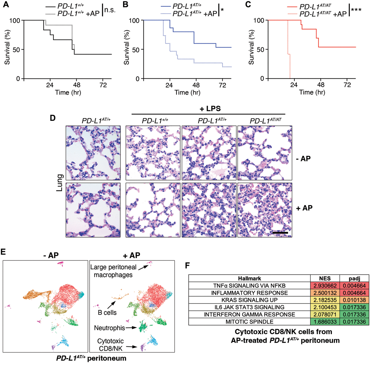 PD-L1ATTAC mice reveal the potential of depleting PD-L1 expressing ...