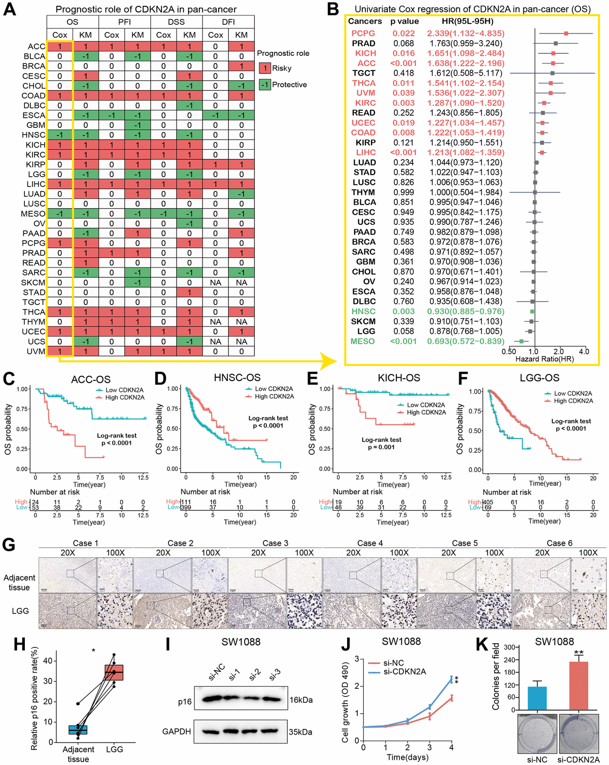 The cell senescence regulator p16 is a promising cancer prognostic and ...