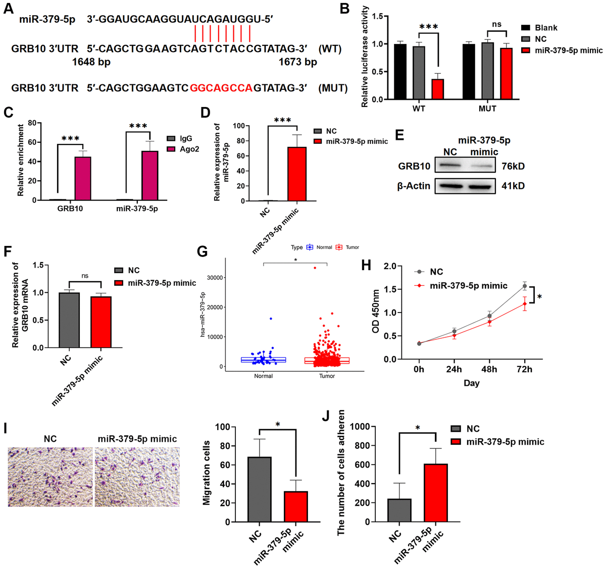 GRB10 is a novel factor associated with gastric cancer proliferation ...