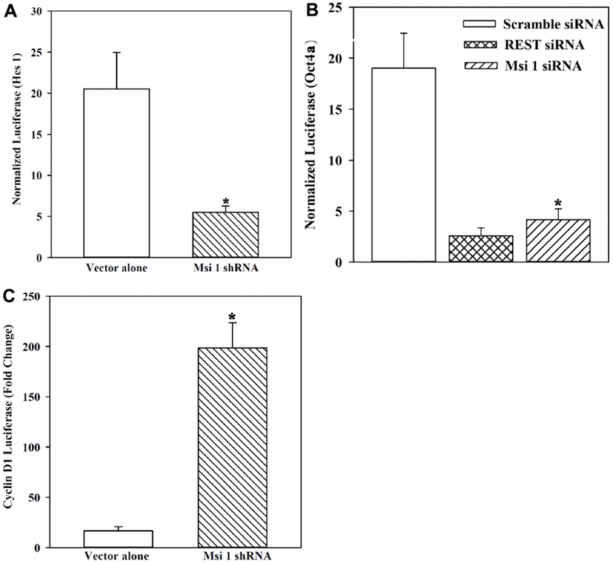 Increased expression of musashi 1 on breast cancer cells has ...