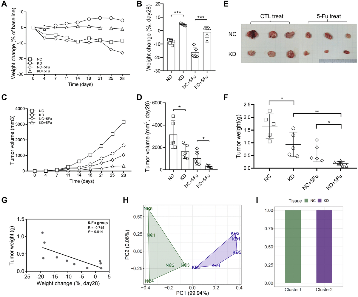 TYRO3 promotes tumorigenesis and drug resistance in colorectal cancer ...
