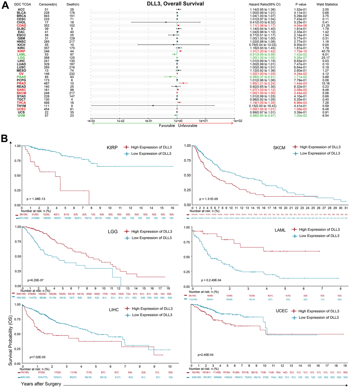 Biological and immunological significance of DLL3 expression in ...