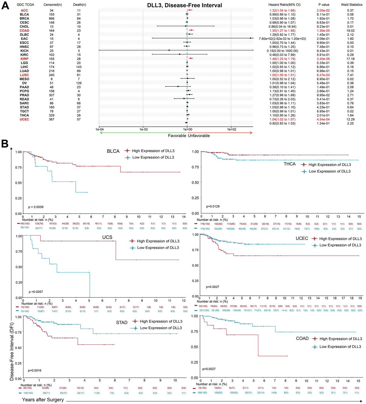 Biological and immunological significance of DLL3 expression in ...