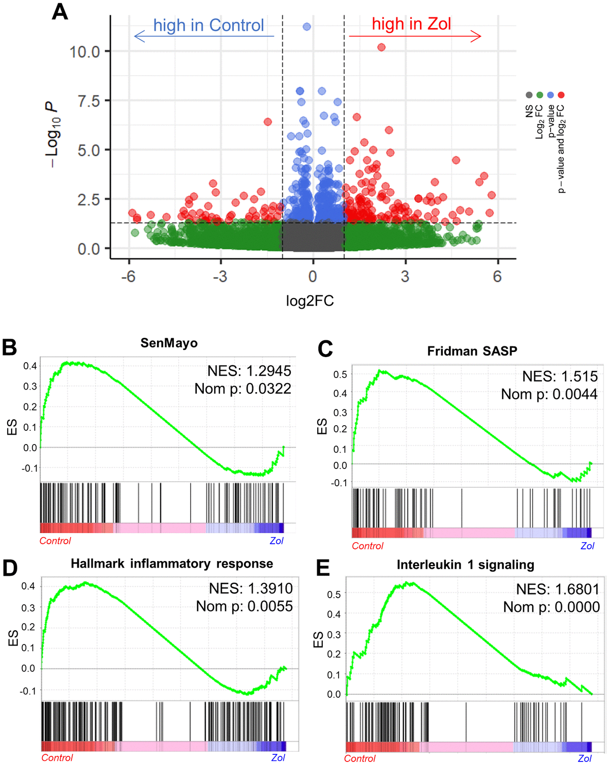 In vitro and in vivo effects of zoledronic acid on senescence and ...