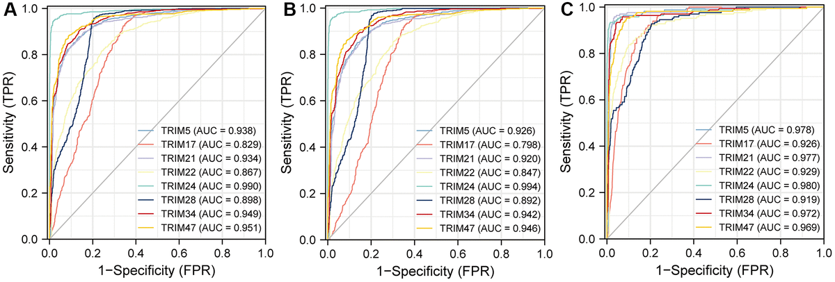 Comprehensive analysis of the prognostic and immunological signature of ...