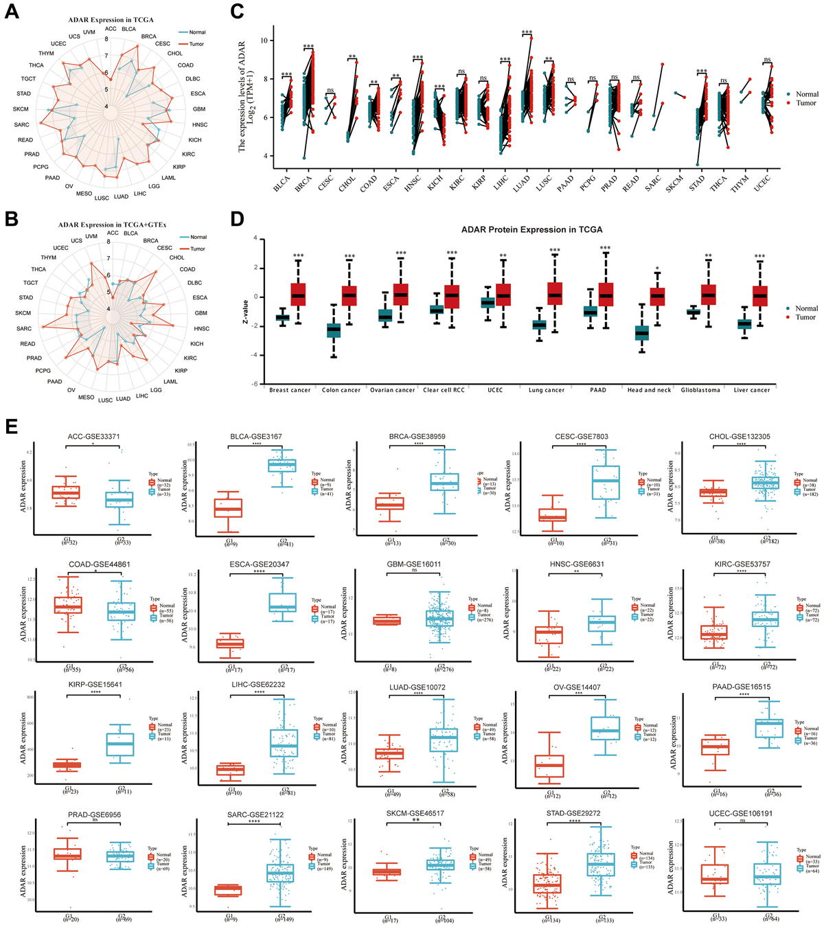Clinical significance, tumor immune landscape and immunotherapy ...