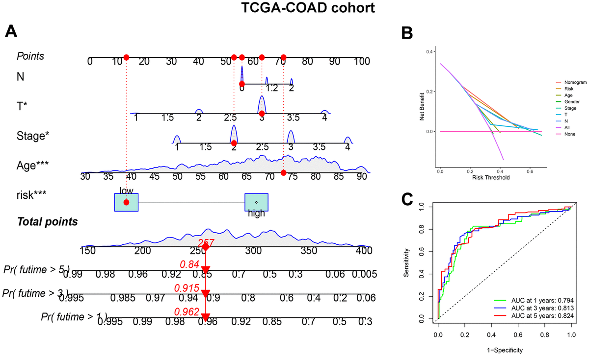Exploring Cancer Dependency Map genes and immune subtypes in colon ...